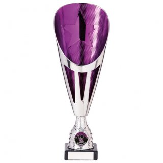 Executive Trophies > Corporate Awards > Presentation Cups